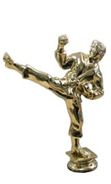 Karate - Gold Male - Large - Creative Awards