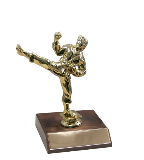 Karate - Gold Male & Base - Creative Awards